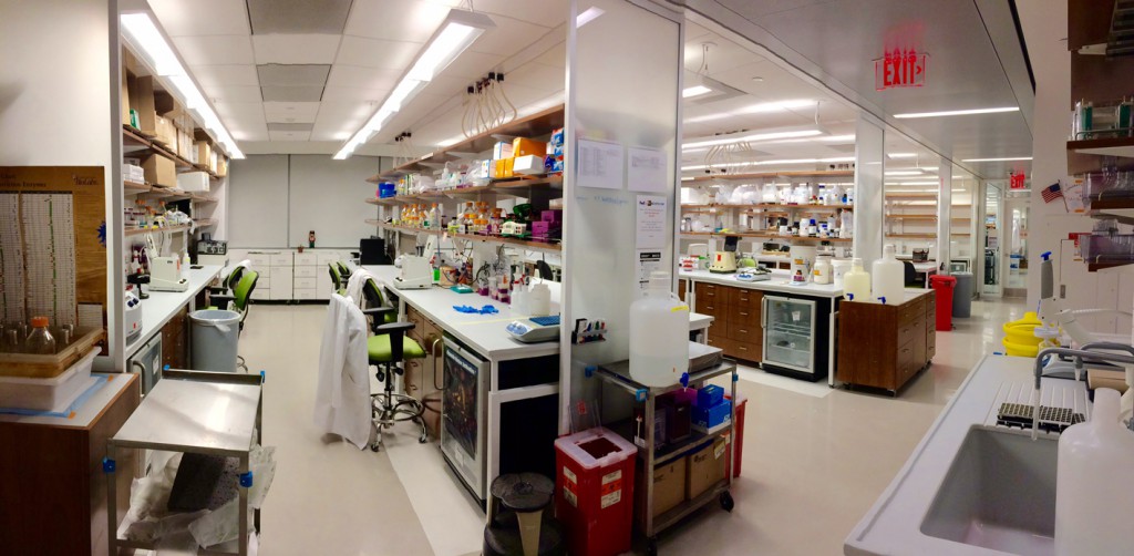 Burré Laboratory – Synaptic Dysfunction in Neurodegeneration and ...